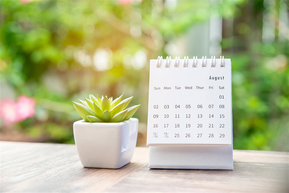 Health and wellbeing calendar City of Stonnington