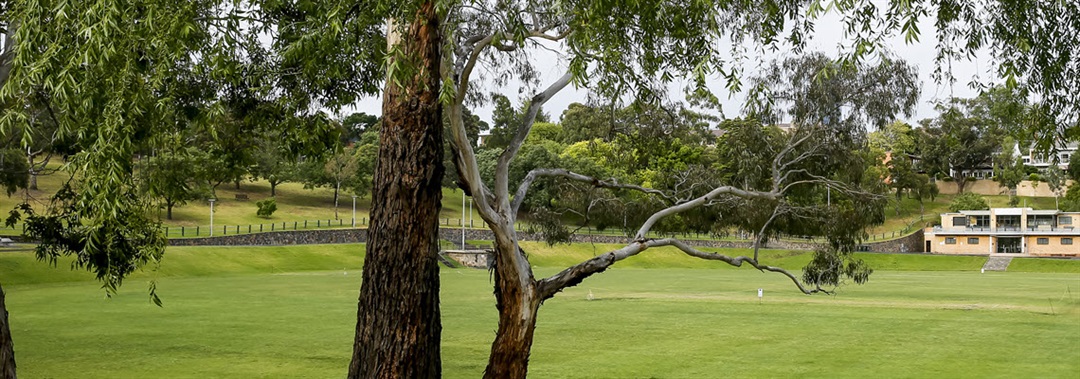 Como Park and Como Park North City of Stonnington